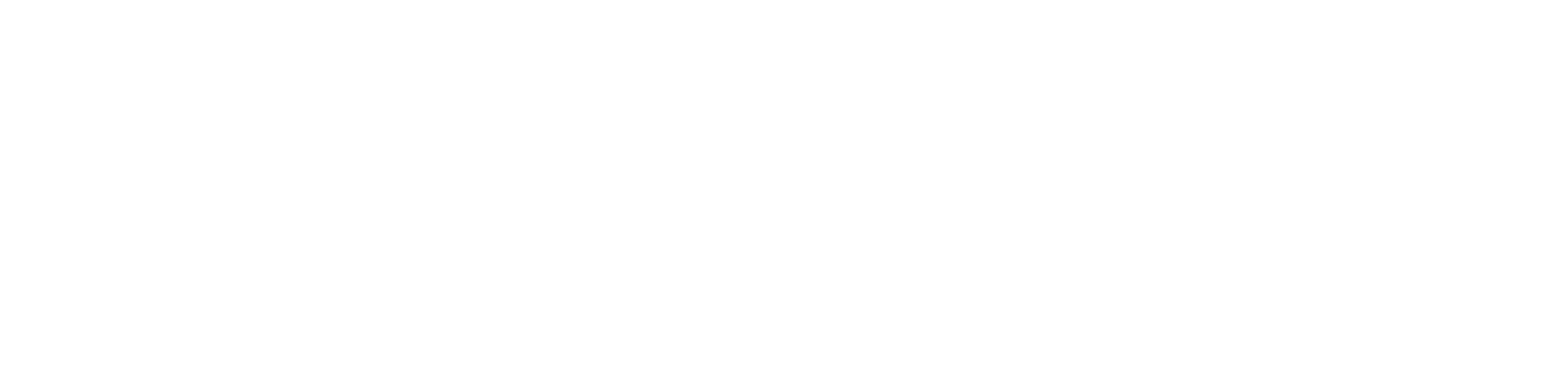 Pronex Strategies - From Setup to Sales - We’ve Got You Covered